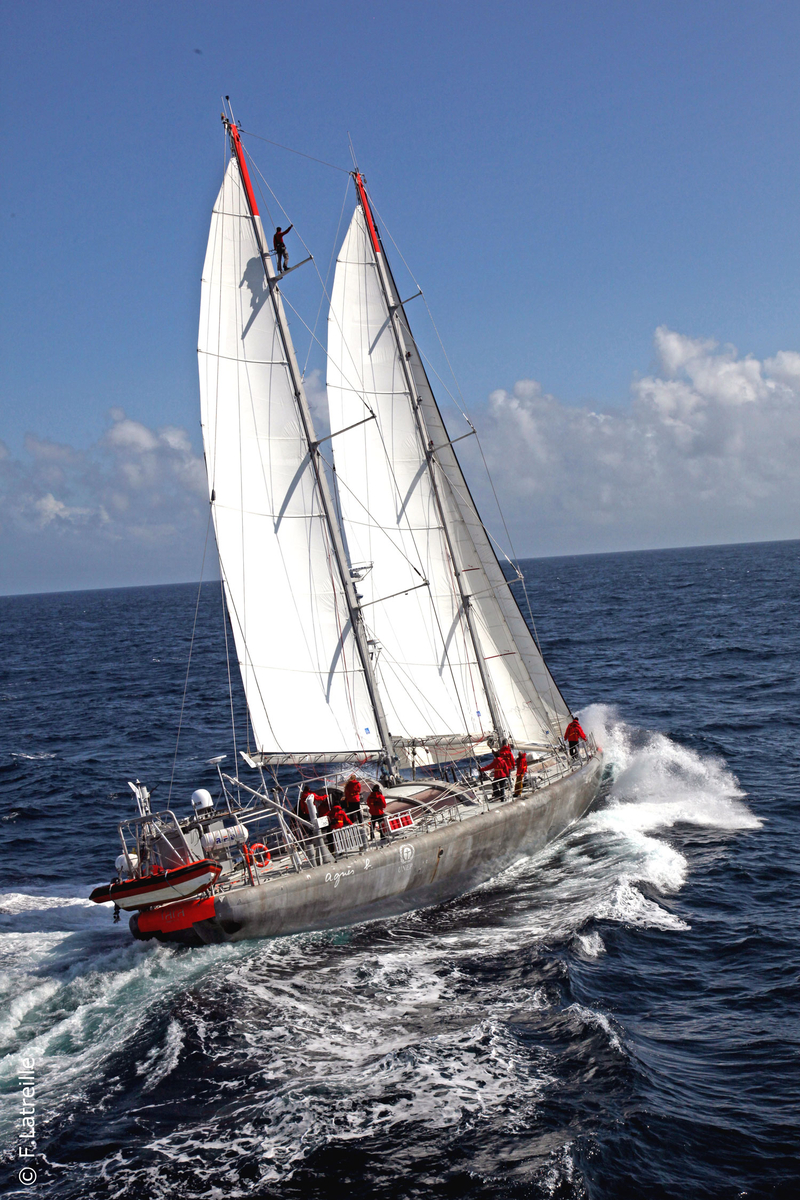 Highlight Project: Tara Expeditions | Fondation Veolia